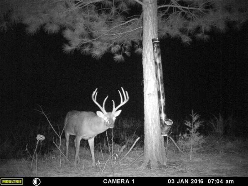 #7979 10 Acre Home/Cabin Site near Lake Wister State Park