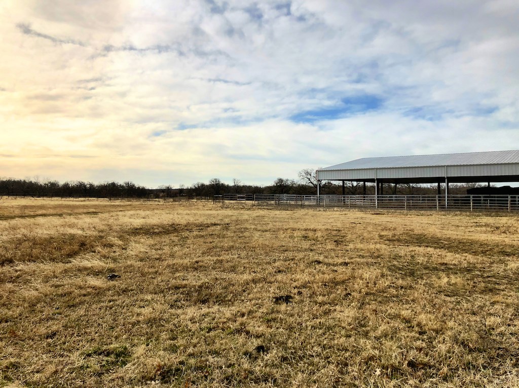 Turn Key Ranch Operation For Sale -Over 1300 Acres +20 Ponds