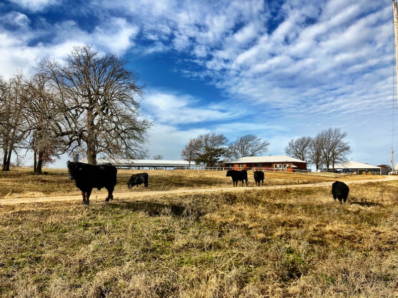 Turn Key Ranch Operation For Sale -Over 1300 Acres +20 Ponds