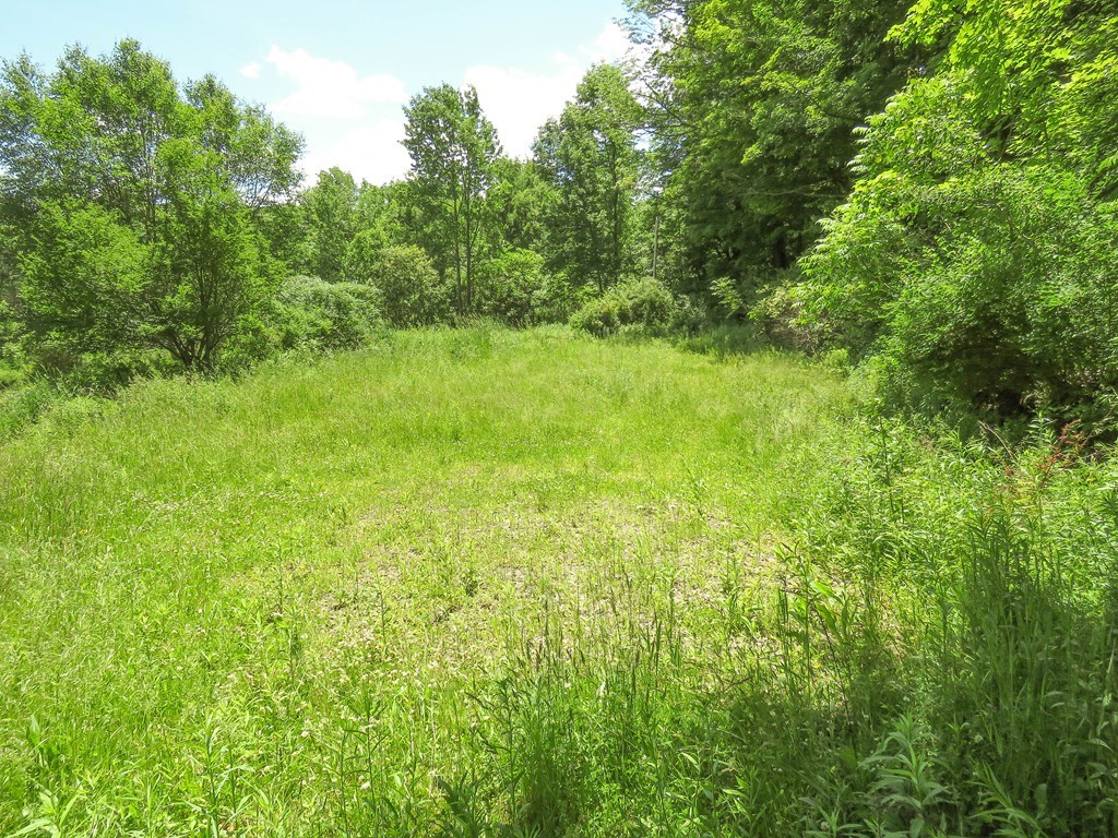 20 Acres of Land
